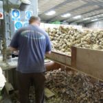 Loose Flint for Building & Walling Projects | All Brick and Stone