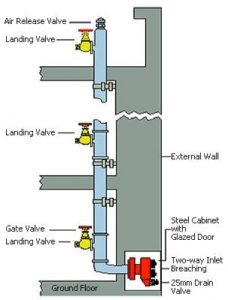 Dry & Wet Risers - Blueshield