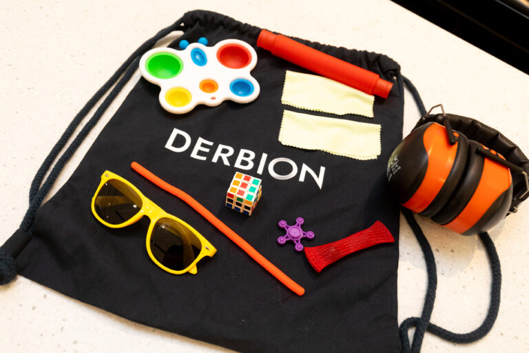 Accessibility information for Derbion - Derbion