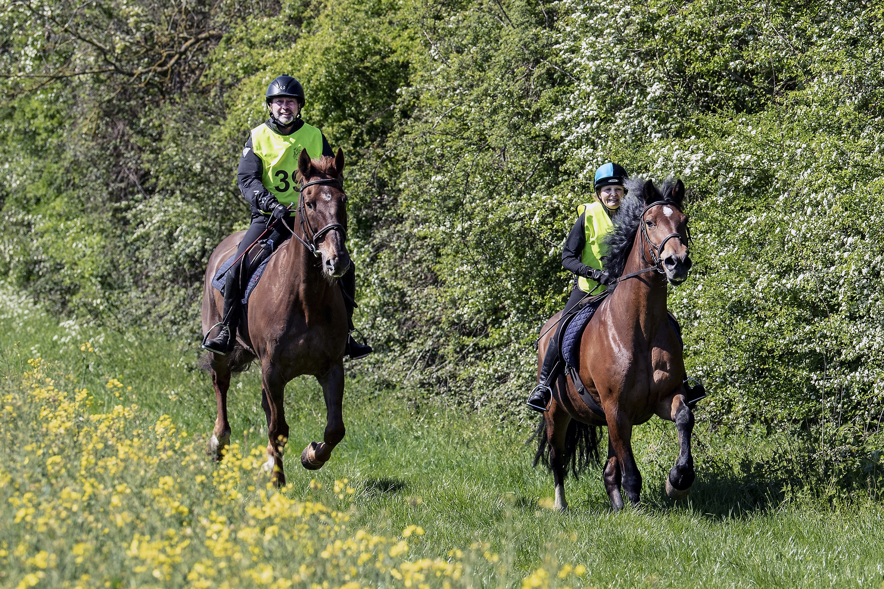 Enjoy Horse Riding in Greensand Country | Greensand Country