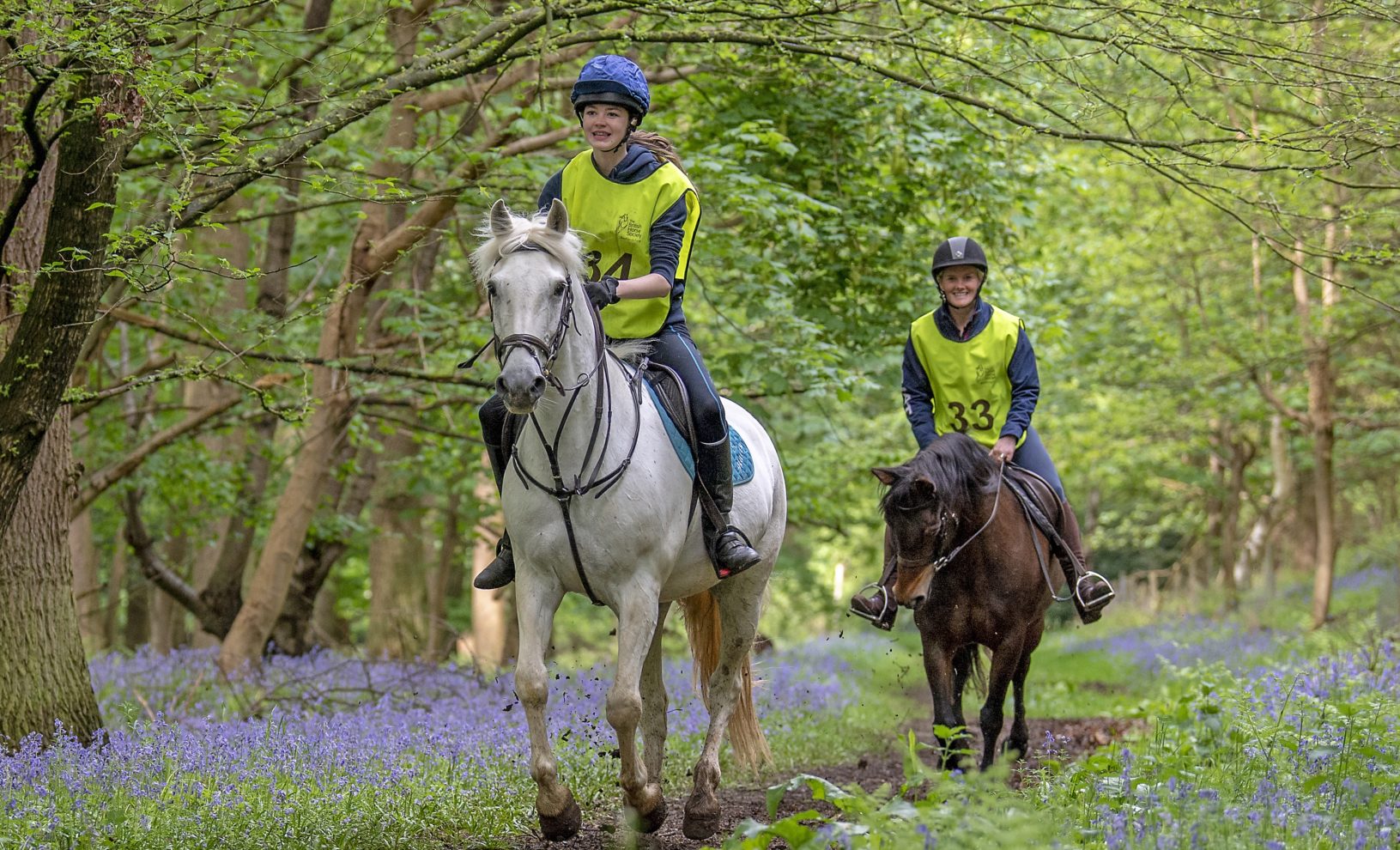 Horse Riding | Greensand Country