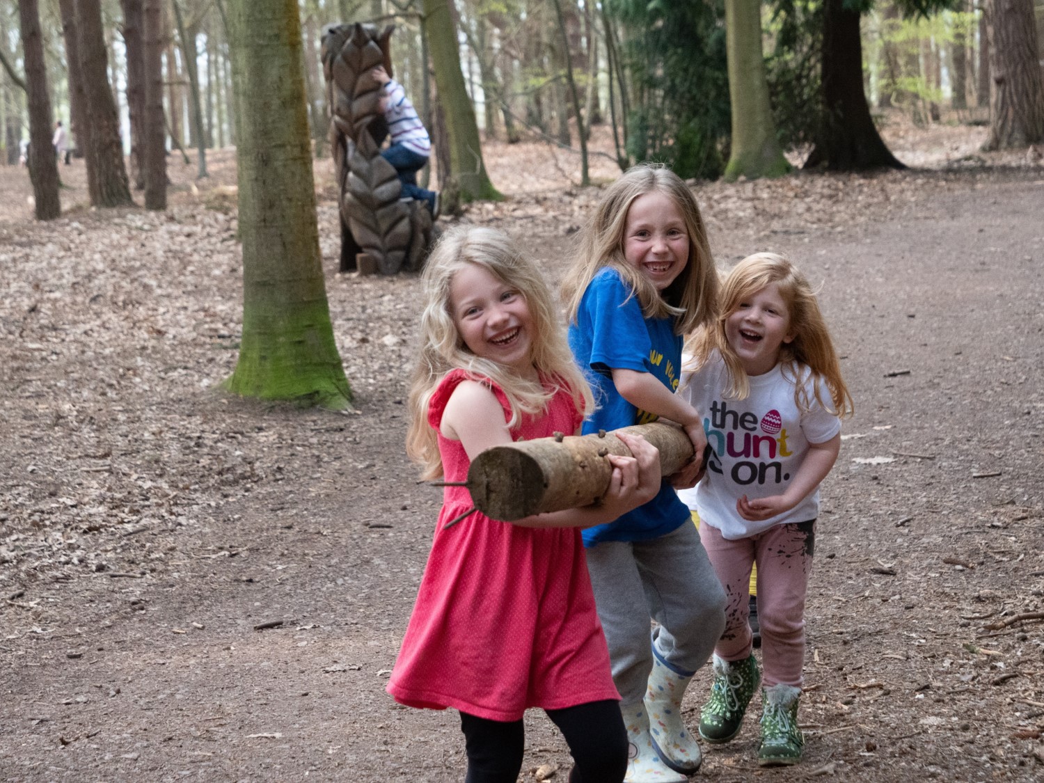 Rushmere Country Park | Greensand Country