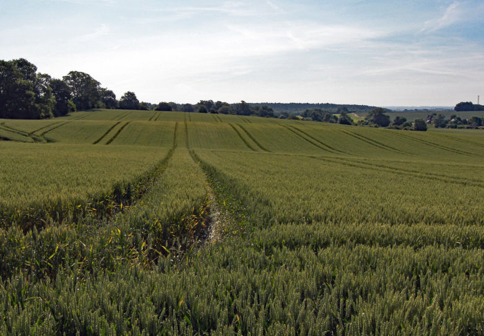 Share your experience | Greensand Country