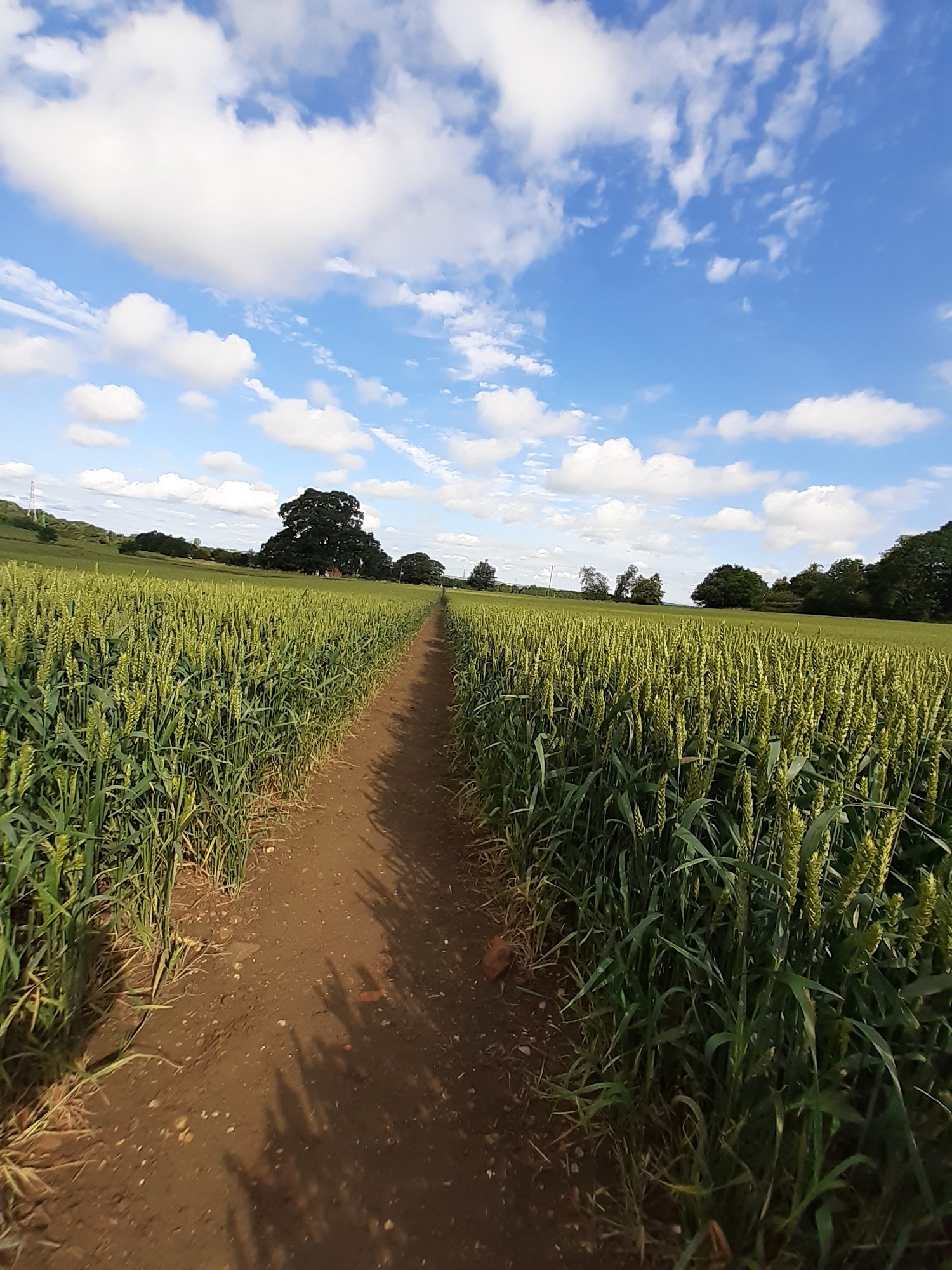 Share your experience | Greensand Country