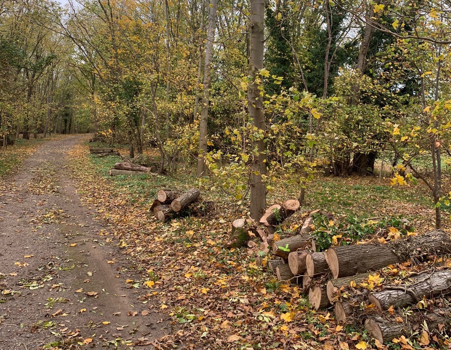 Local landscape project supports the wellbeing of wildlife and people ...