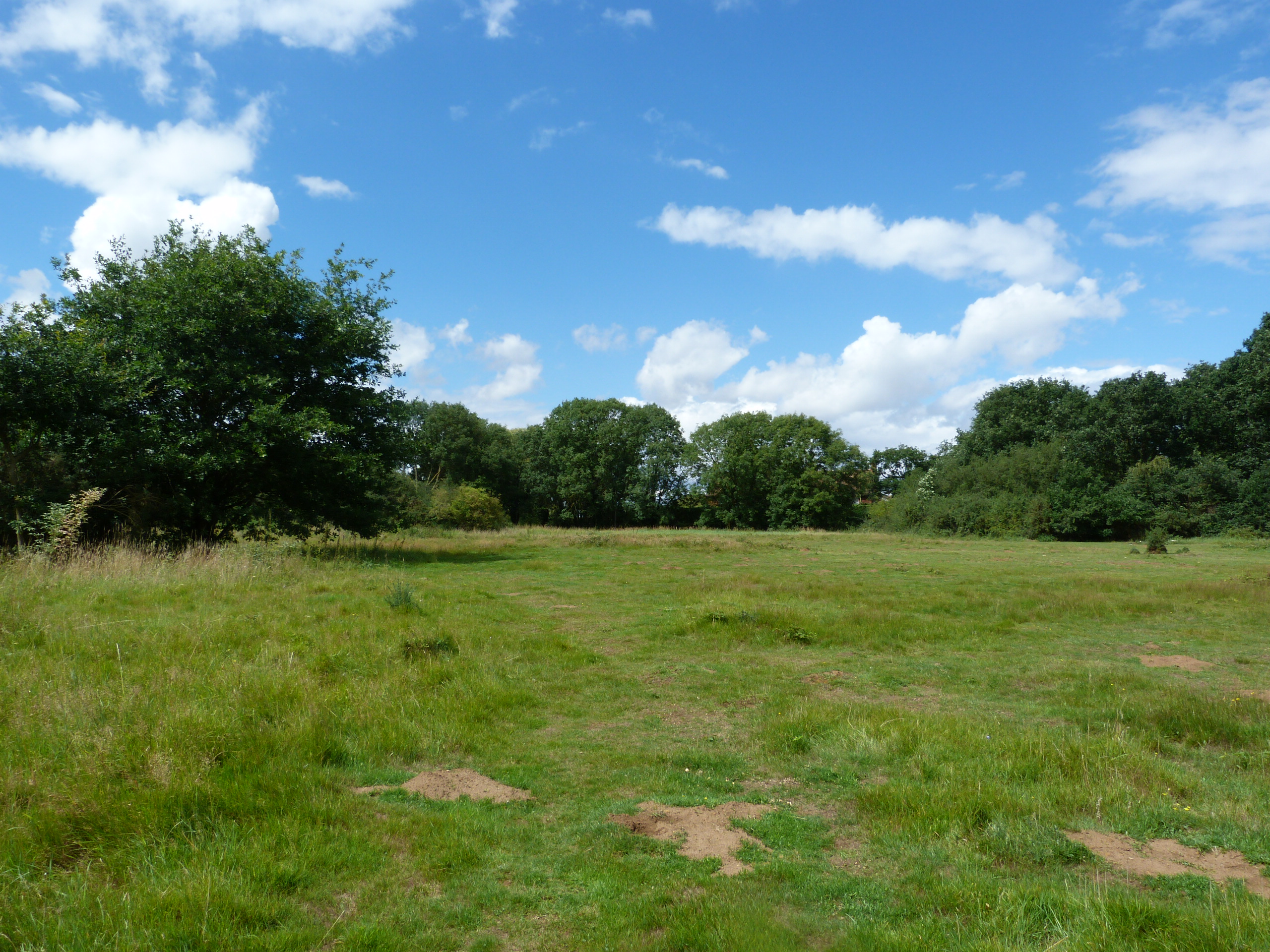 Lives and Landscapes - the Greensand Ridge north of Sandy | Greensand ...