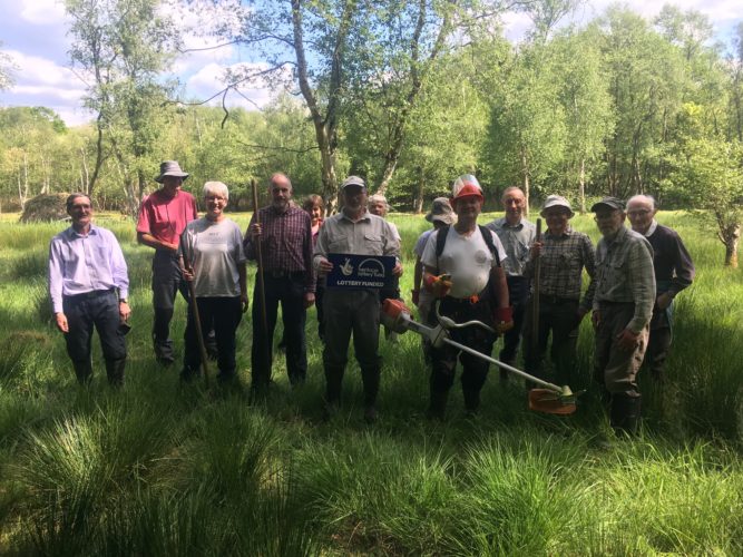 A Moor for all Seasons: Protecting Flitwick Moor | Greensand Country