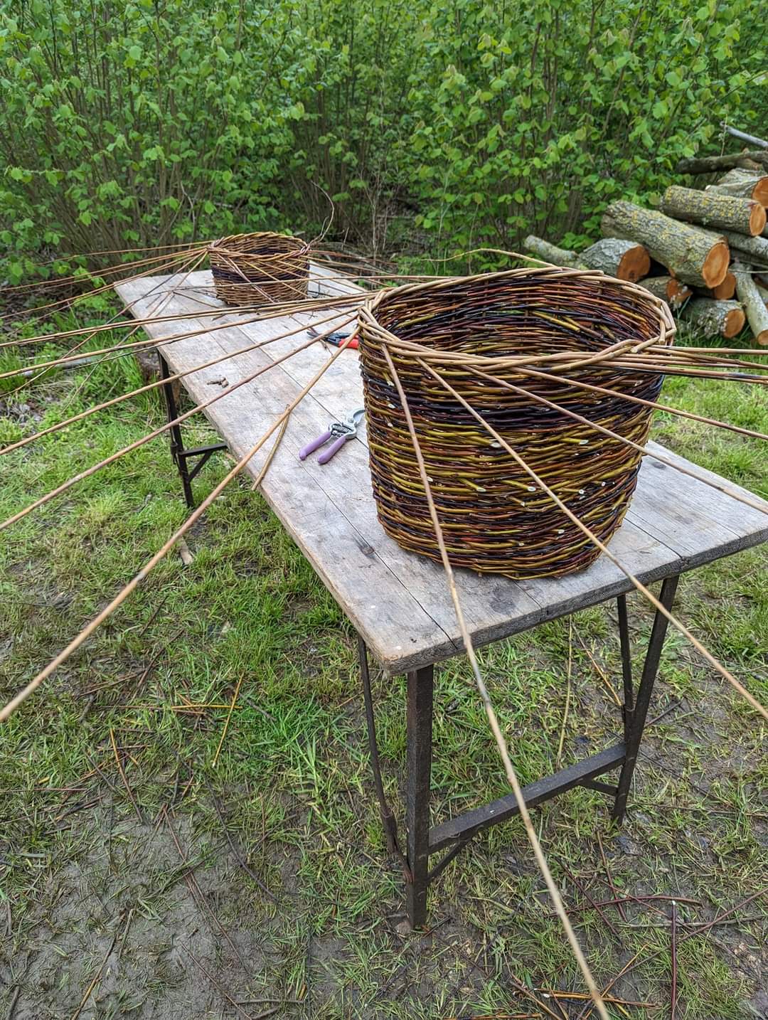 Local people celebrate Greensand Country landscape at annual Festival ...