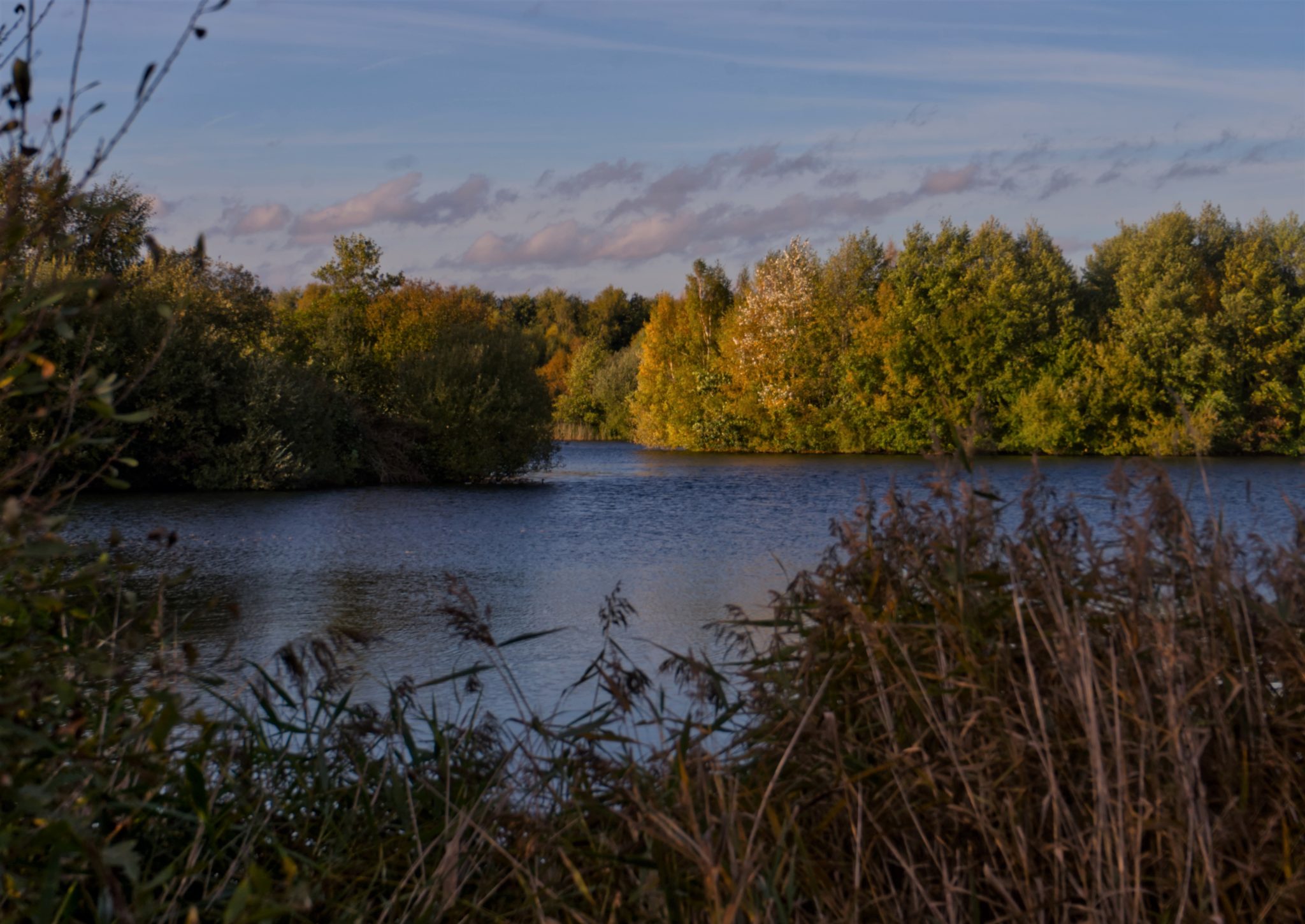 Clophill Lakes Nature Reserve | Greensand Country