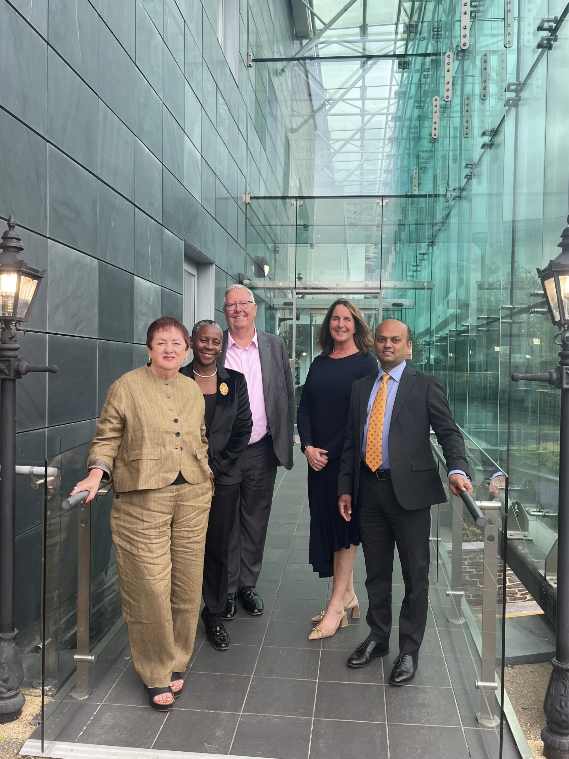 Independent panel to review failings and future governance of the ...